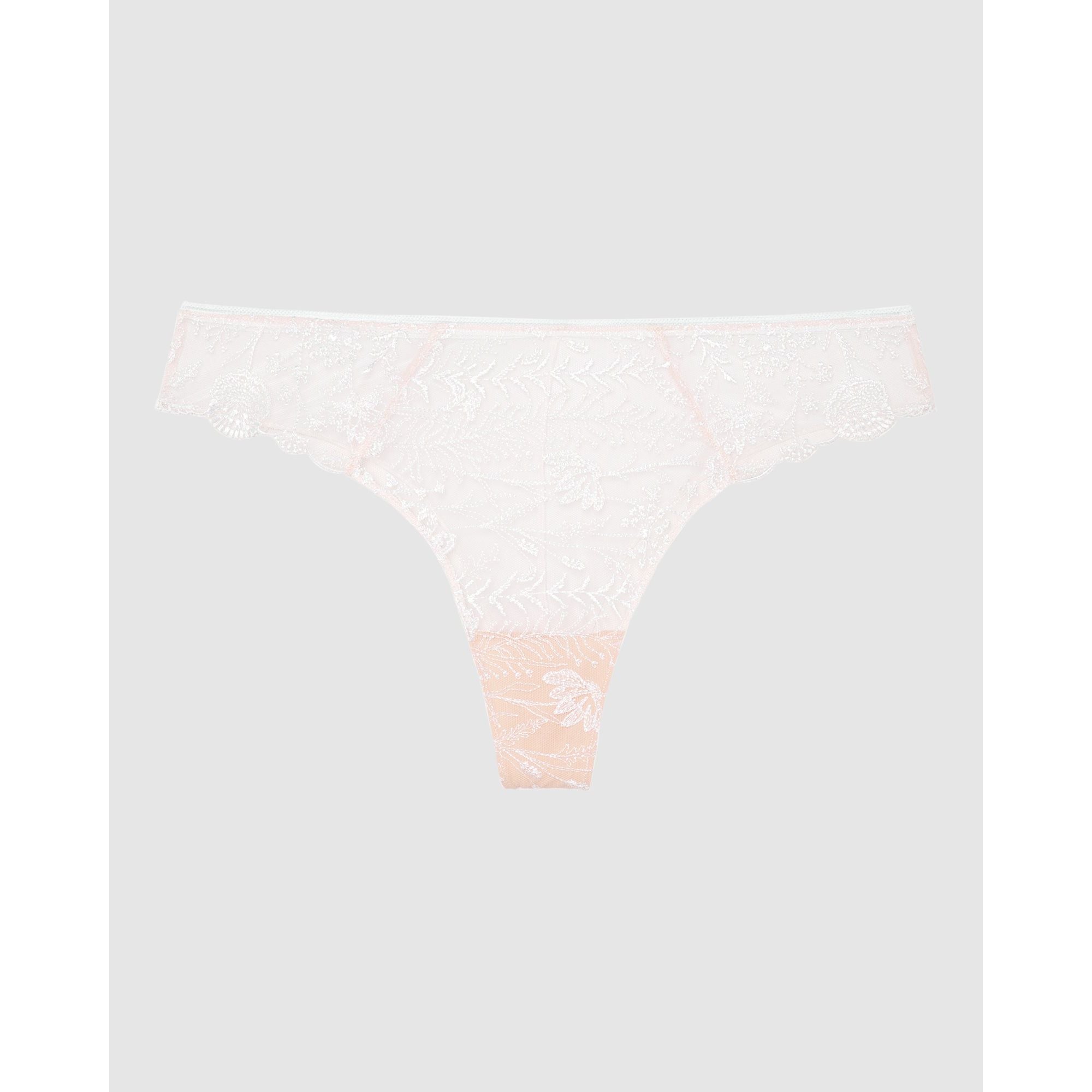 Buy Chloé Brazilian Cut Brief With Embroidery - Passionata | Style Gallery